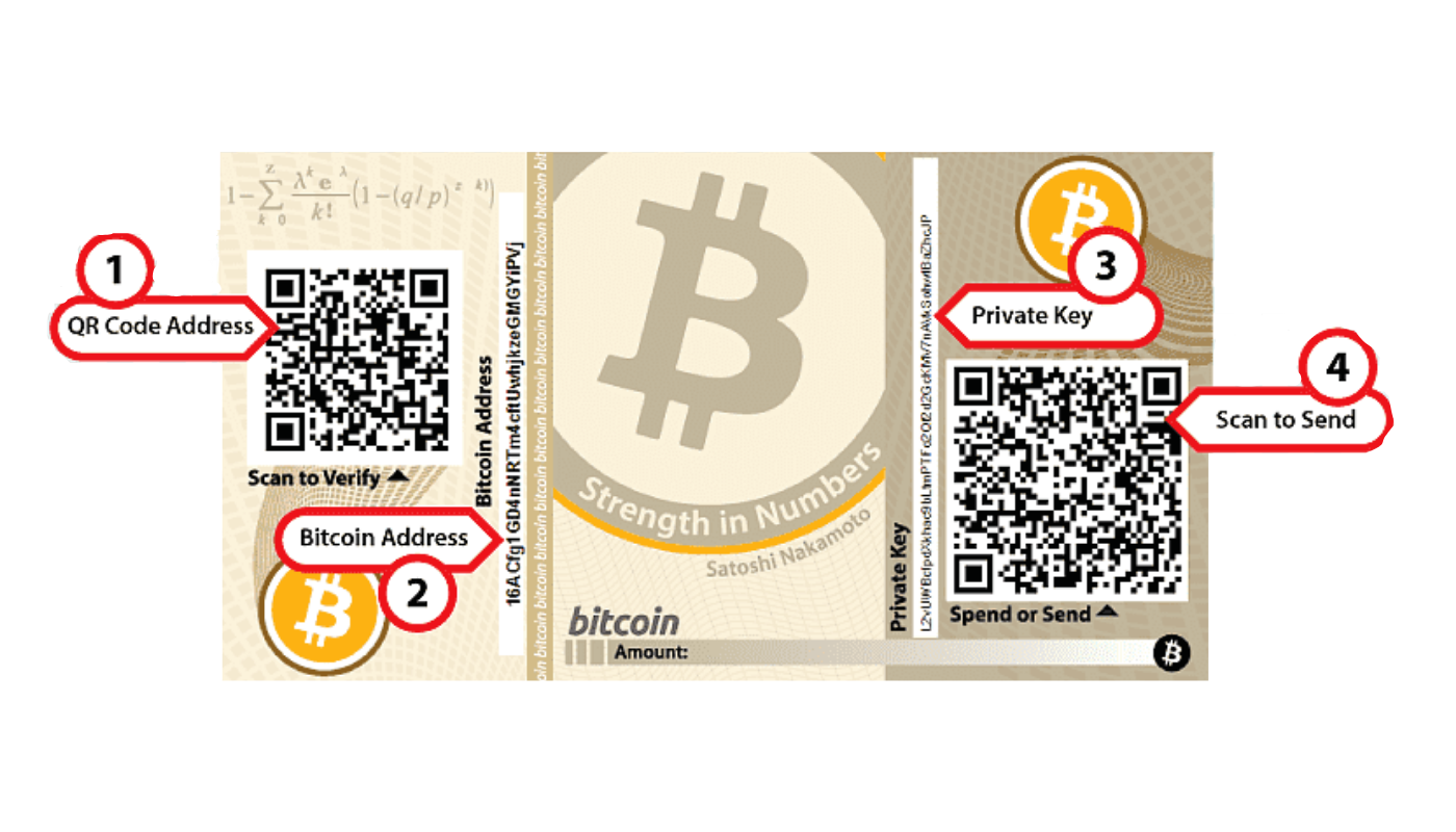 Cryptocurrency Wallets Guide for Crypto Trading - FX Leaders