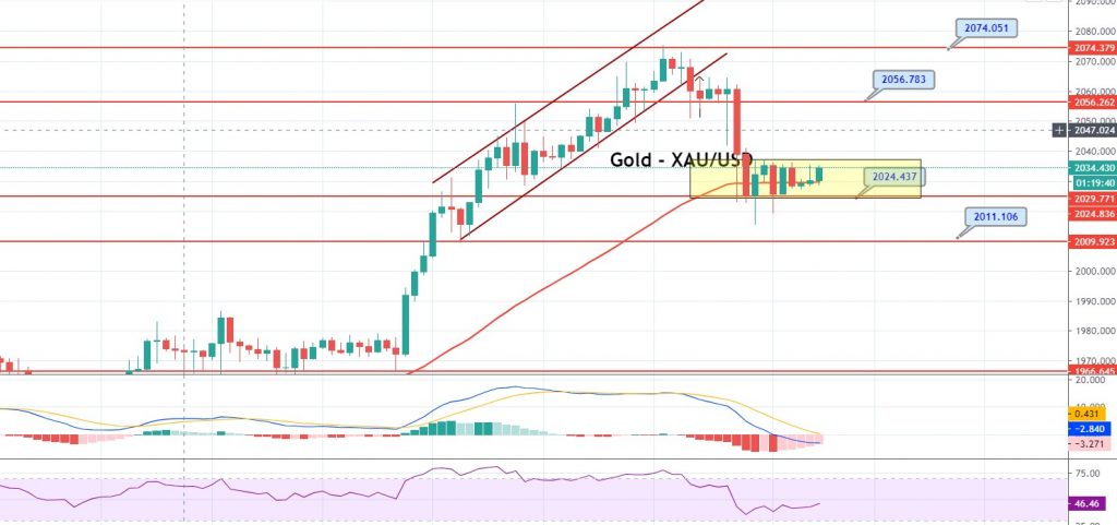 Daily Brief, August 10 – Everything you Need to Know About Gold Today ...