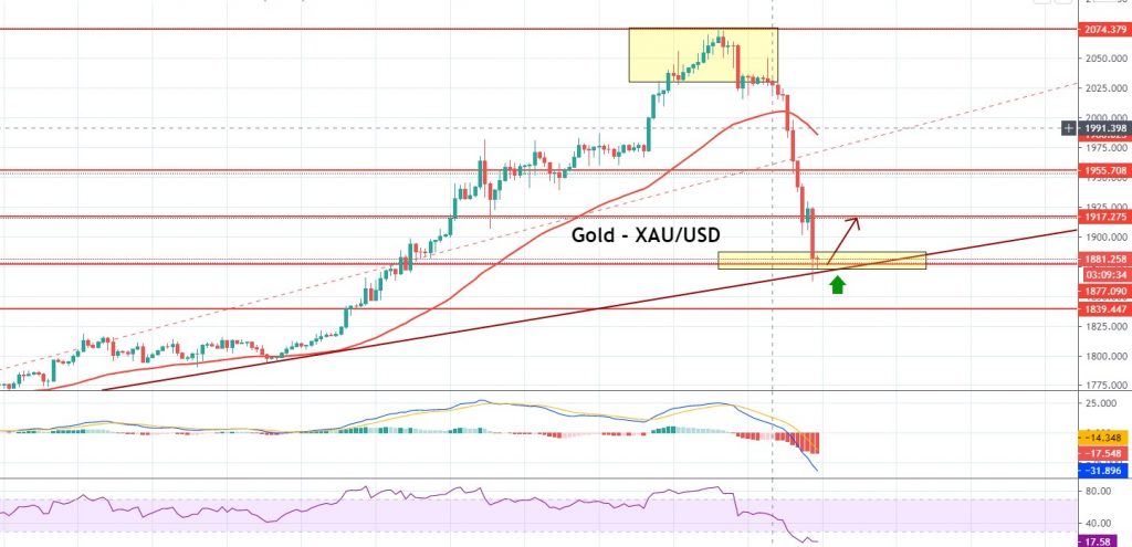 Daily Brief Aug 13 – Everything You Need to Know About Gold Today ...