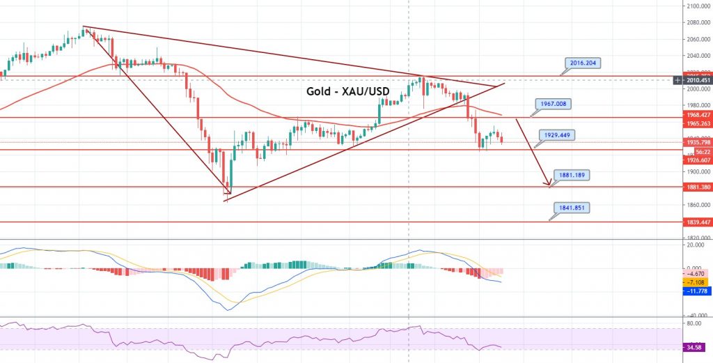 Daily Brief August 20 – Everything You Need to Know About Gold! - Forex ...
