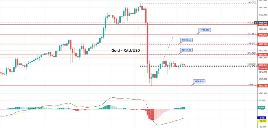 Daily Brief, November 11 – Everything You Need to Know About Gold on ...