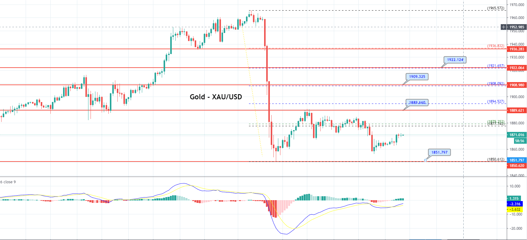 Daily Brief, Nov 12 – Everything You Need to Know About Gold Today ...
