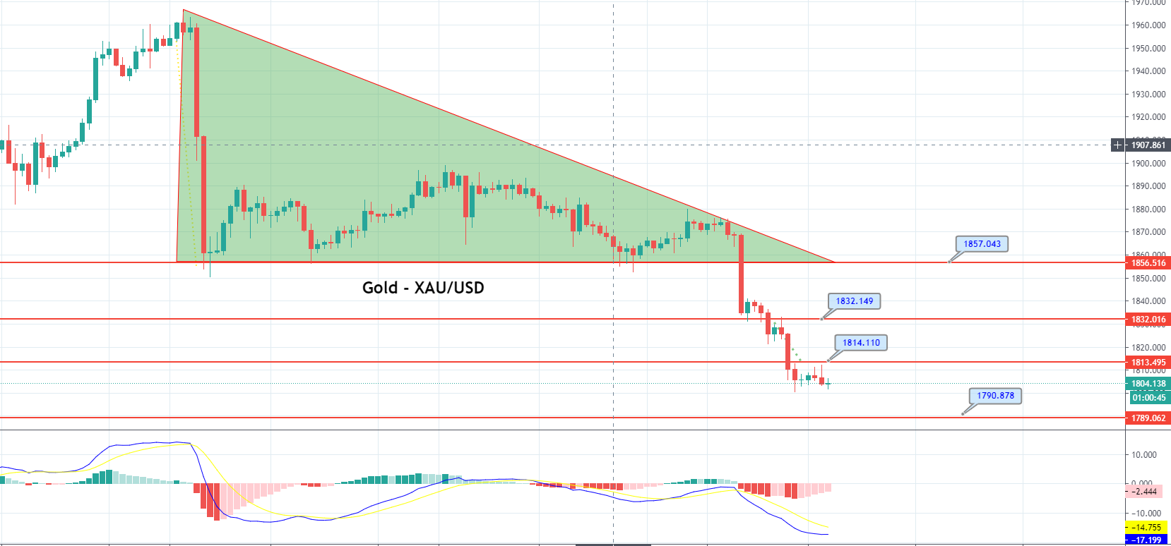 Daily Brief, November 25 – Everything You Need to Know About Gold Today ...