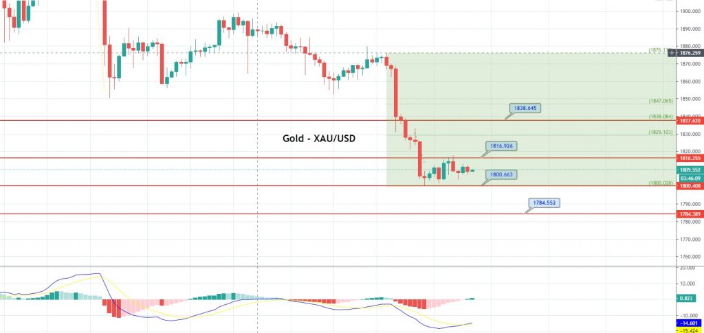 Daily Brief, November 26 – Everything You Need to Know About Gold Today ...