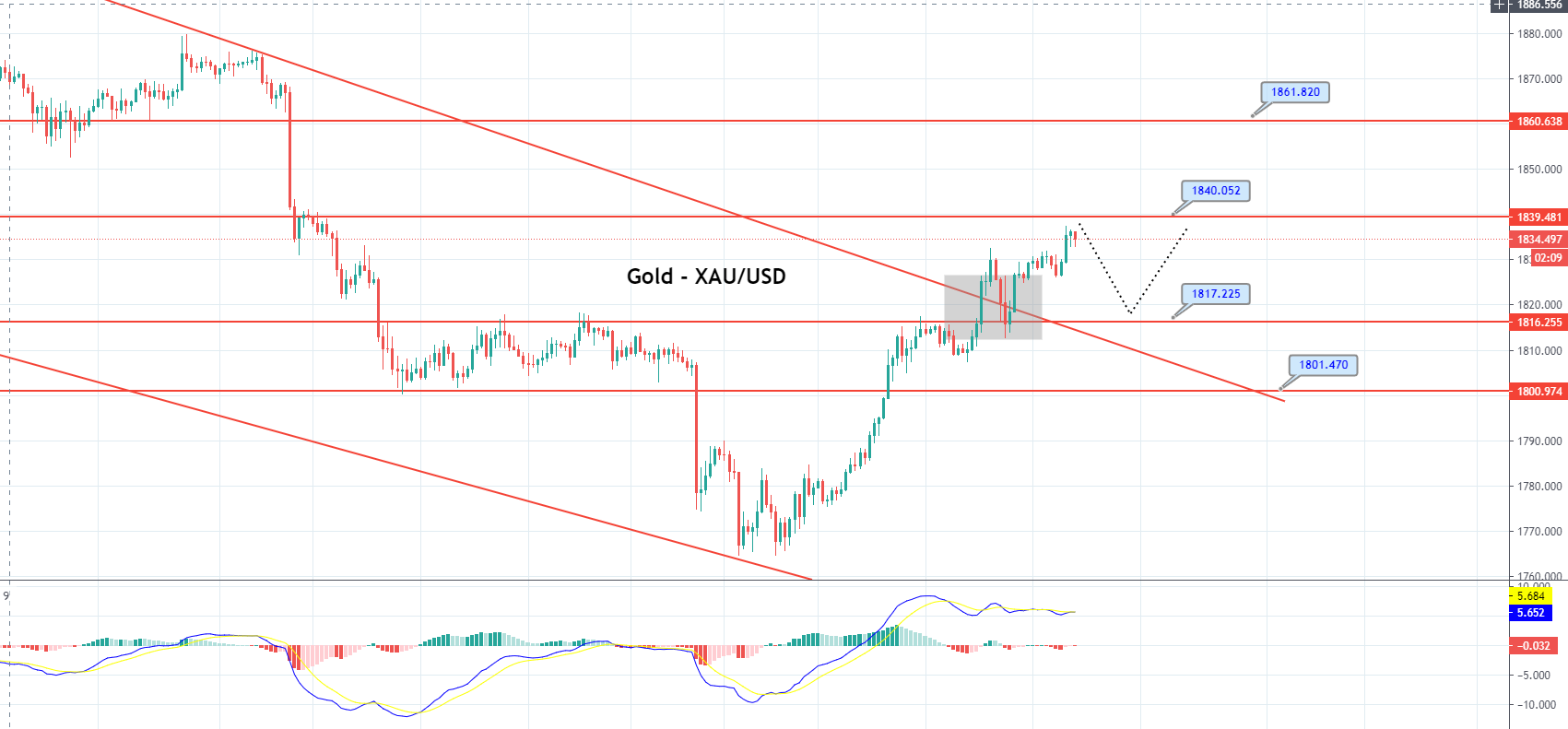 Daily Brief – December 03 – Everything You Need to Know About Gold ...