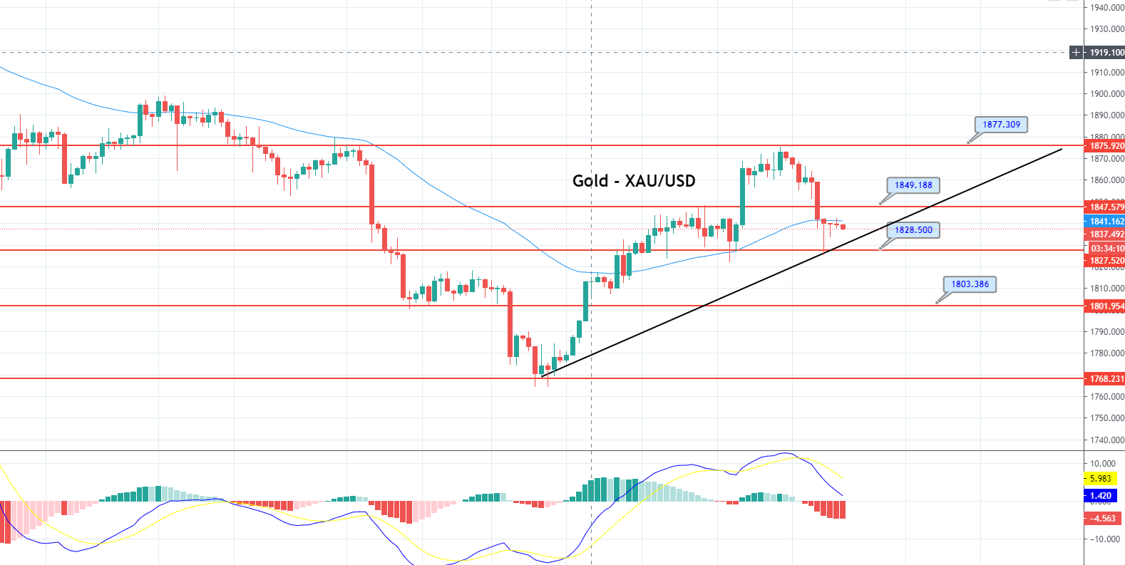 Daily Brief, December 10 – Everything You Need to Know About Gold Today ...
