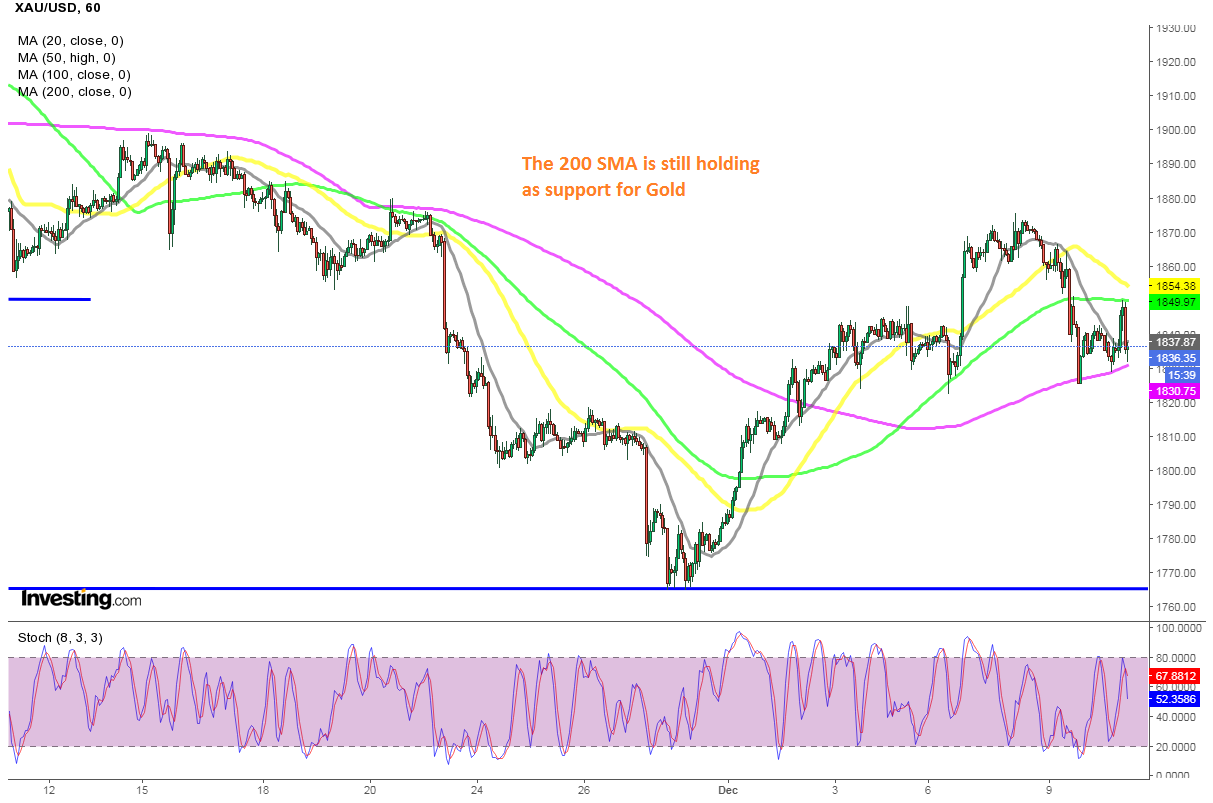 Gold Bouncing Between Moving Averages - Forex News by FX Leaders