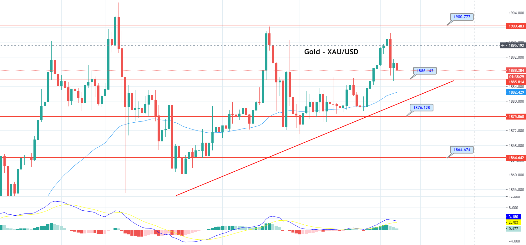 Daily Brief, December 31 – Everything You Need to Know About Gold Today ...
