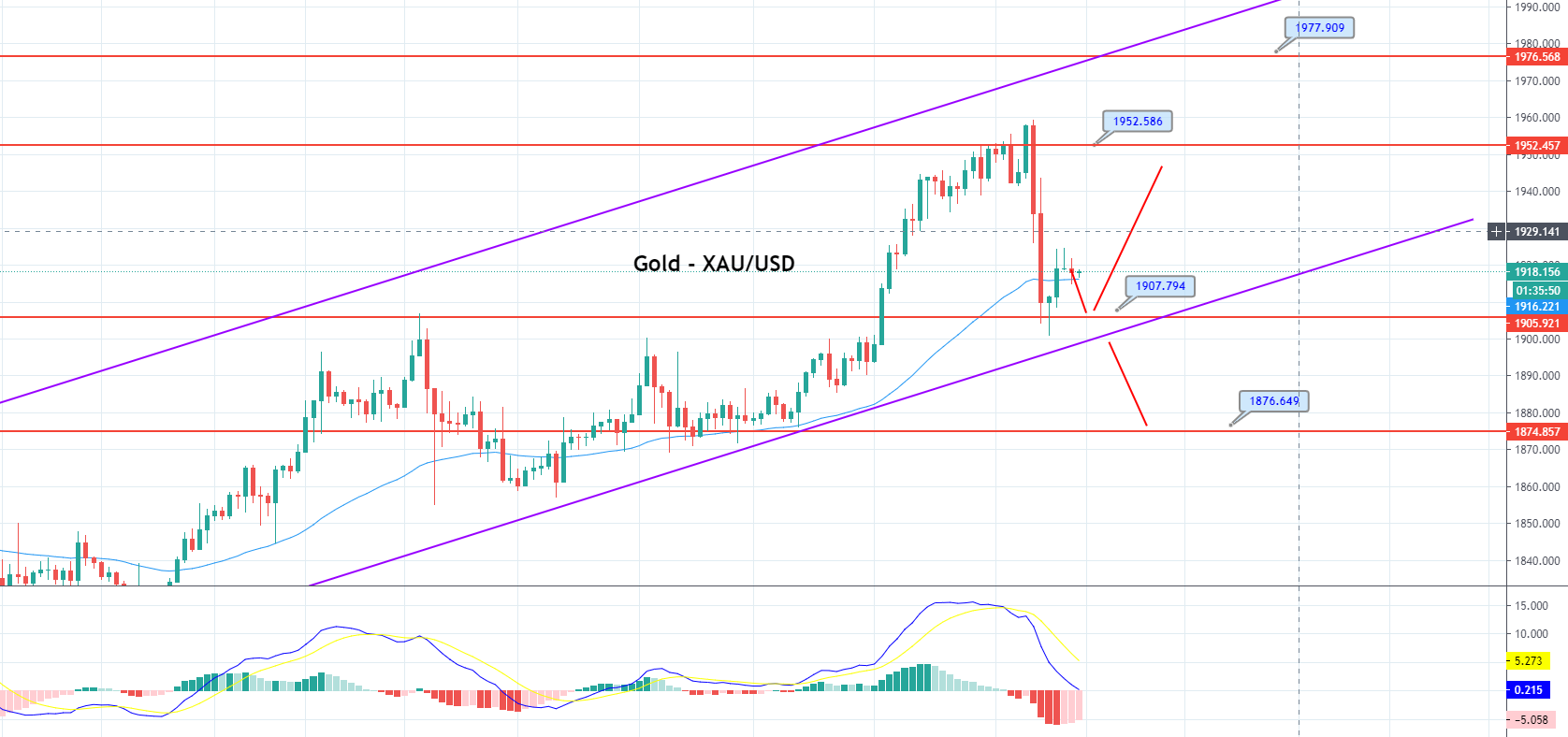 Daily Brief, January 07 – Everything You Need to Know About Gold on ...