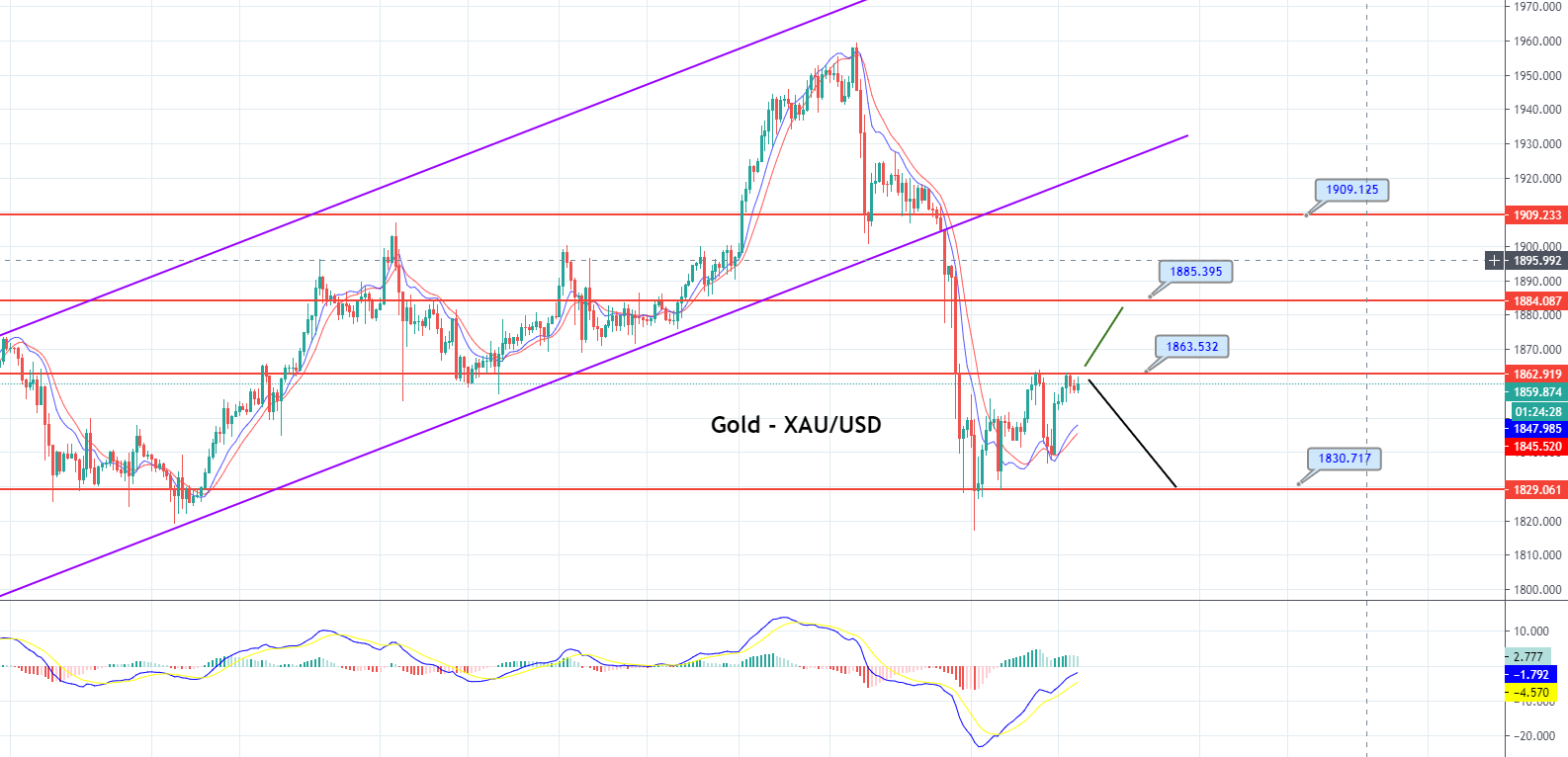 Daily Brief, January 13 – Everything You Need to Know About Gold Today ...