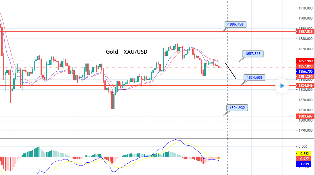 Daily Brief, Jan 25 – Everything You Need to Know About Gold Today ...