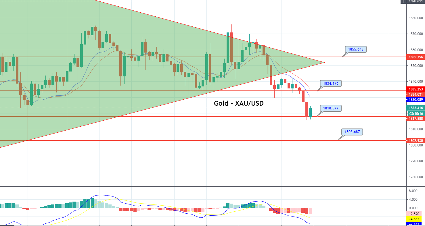 Daily Brief, February 04 – Everything You Need to Know About Gold Today ...