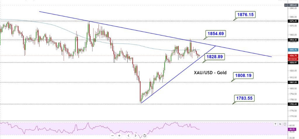 Daily Brief, February 11 – Everything You Need to Know About Gold Today ...
