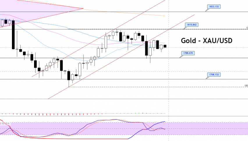 Daily Brief, February 25 – Everything You Need to Know About Gold ...