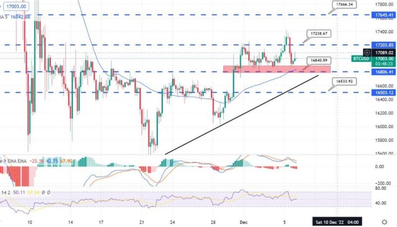 Bitcoin Slips Under $17,000 Mark – Here’s Why! - Forex News by FX Leaders