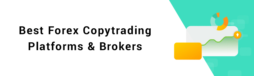 10 Best Copy Trading Platforms ☑️ (2025)