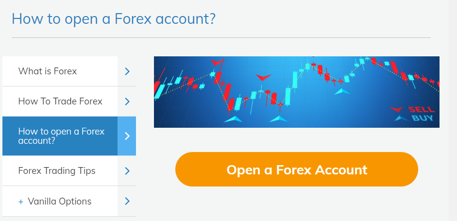 10 Best Forex Brokers for Beginners (☑️Update 2025*)