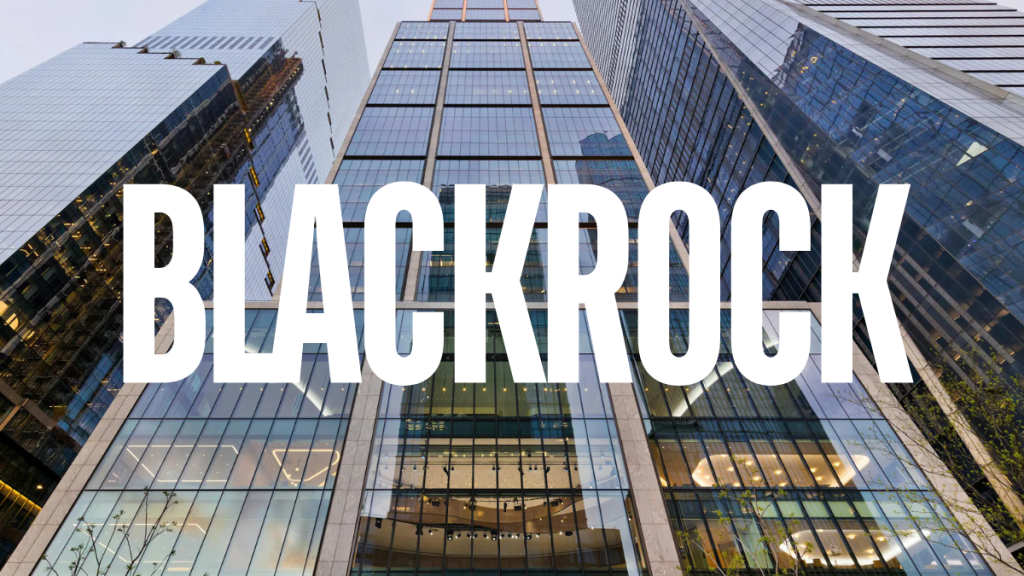 BlackRock Highlights Three Key Market Risks in 2025 - Forex News by FX ...
