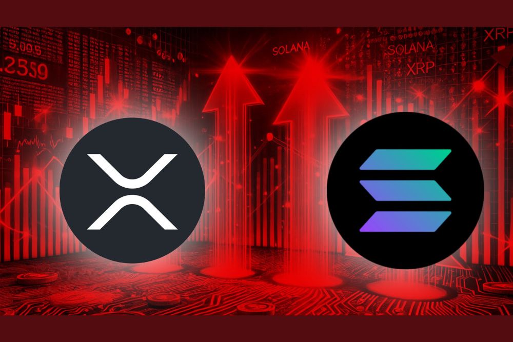 124,246 traders burn as XRP, Solana crash - Forex News by FX Leaders