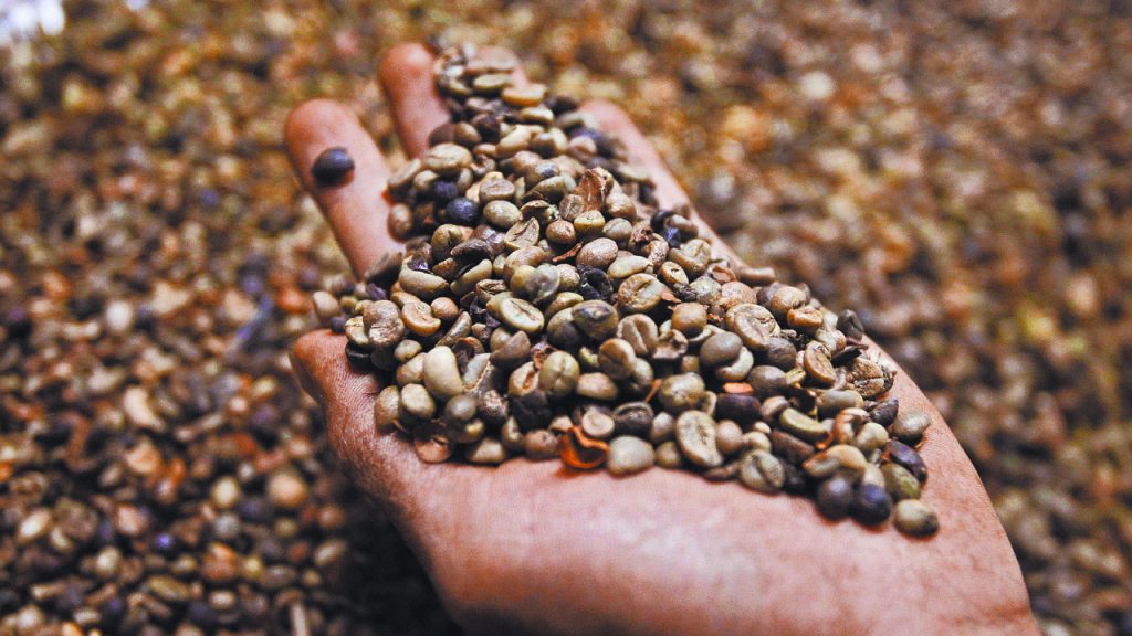 Coffee Prices Hit Record Highs Since 1977 Due to Brazil’s Drought ...