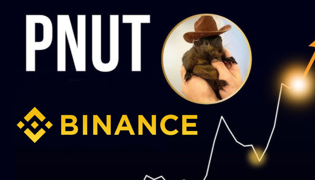 Peanut the Squirrel Owner Sues Binance Over IP Dispute, Claims Misuse ...
